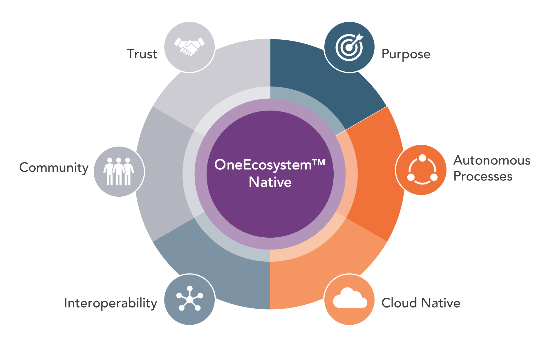 Look for these six enablers in SaaS to support your OneEcosystem ...